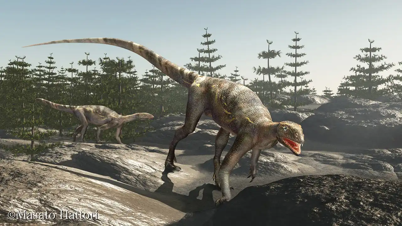 テコドントサウルス（Thecodontosaurus） | 探そう！好きな恐竜