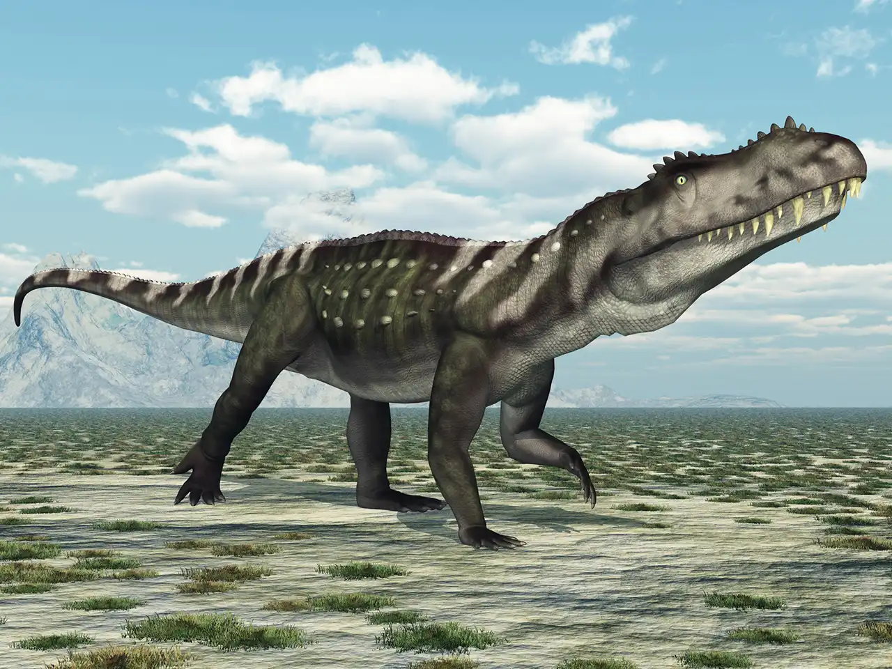 プレストスクス（Prestosuchus） | 探そう！好きな恐竜